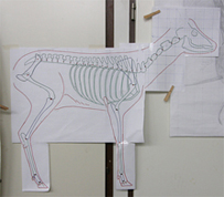 Blueprint | Jeroen Verhoeff